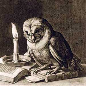 A Wise Old Owl • Angie's Diary