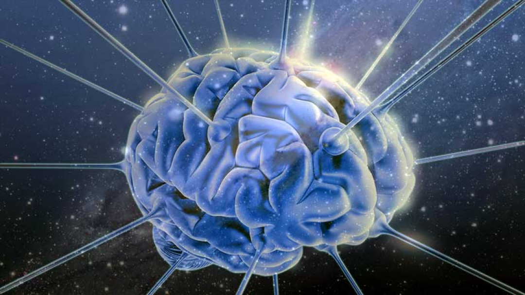 Brain Science: Are Therapies Dawning On The Horizon? • Angie's Diary